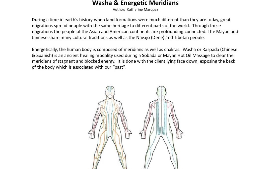 Washa & Energetic Meridians | Ancient Instincts